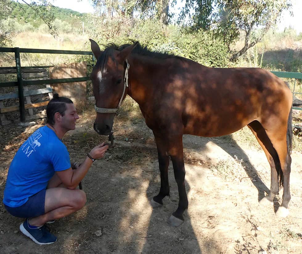 MIRACLES DO HAPPEN | Horse Rescue Spain