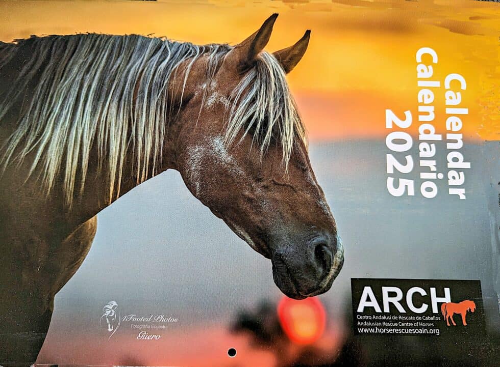 ARCH CALENDAR 2025 | Horse Rescue Spain