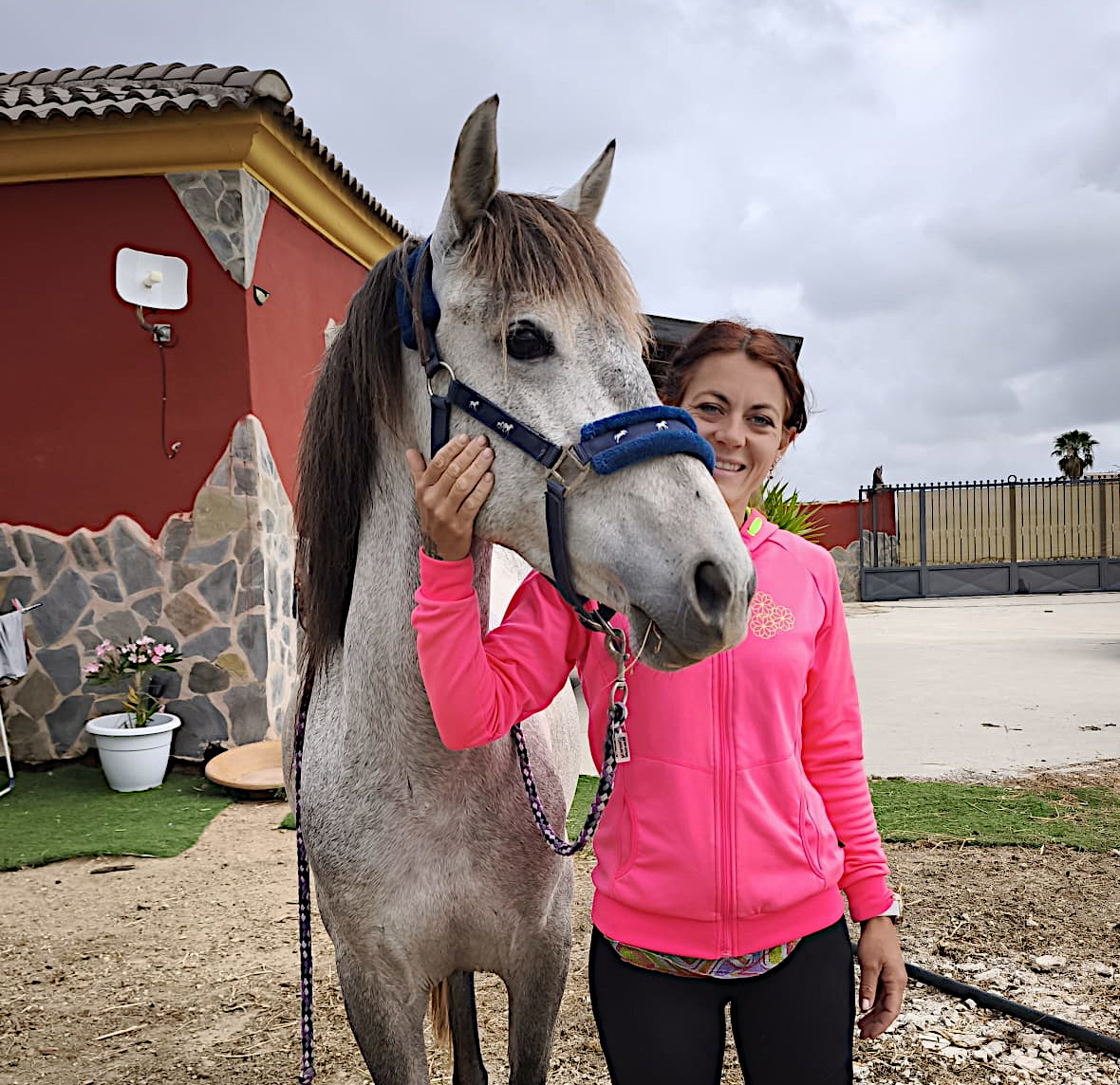 tordahome | Horse Rescue Spain